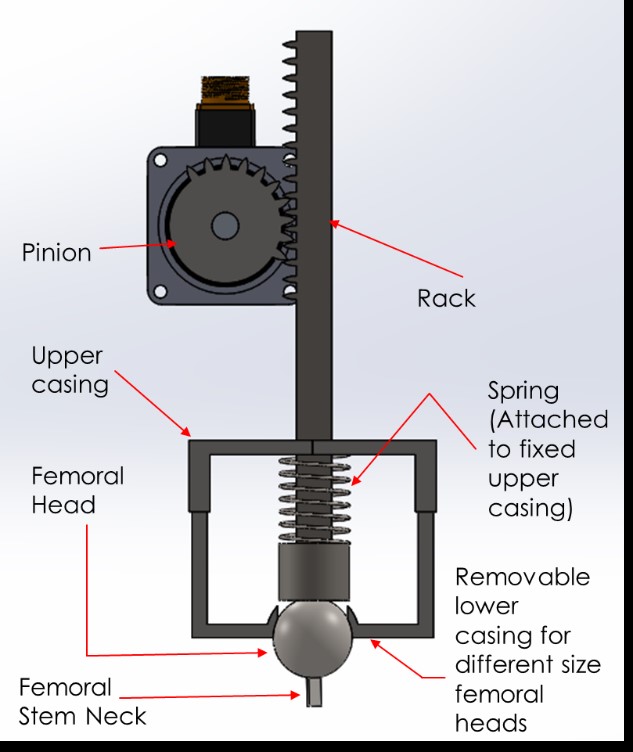 Auto-Hammer for Femoral Head Assembly During Total Hip Arthroplasty ...